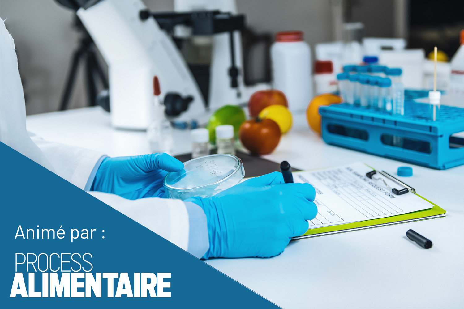 TEST ELO QUALITE - EDITIONS DU BOISBAUDRY